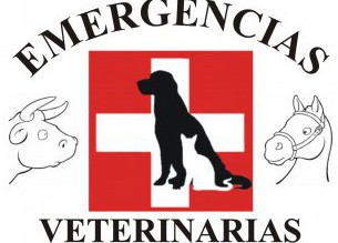 Buscando :: EMERG. VETERINARIAS